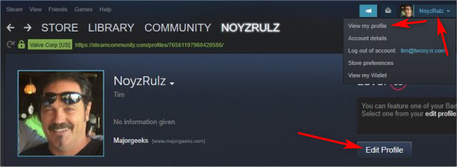 How to Hide Your Gameplay Activity in Steam Profile and Chat - MajorGeeks