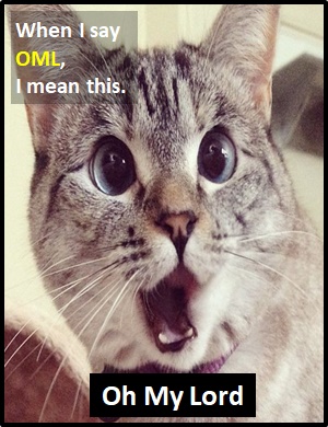 What Does OML Mean? - MajorGeeks