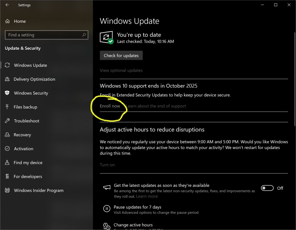 How to Force Enable Windows 10 Extended Security Updates If The Option ...