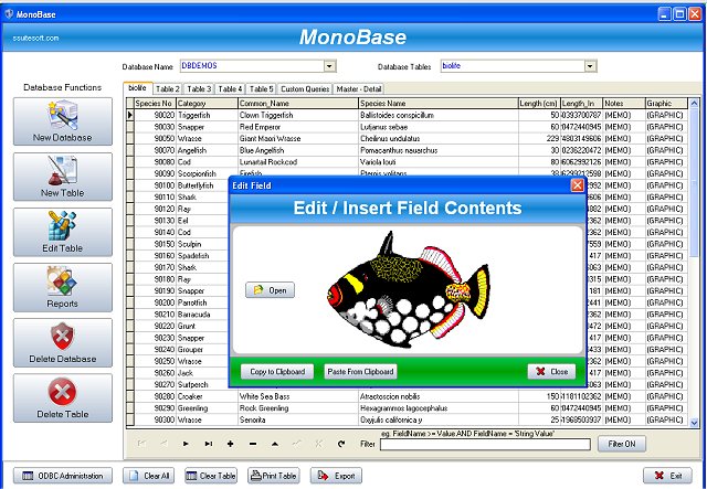Download SSuite Office - MonoBase - MajorGeeks
