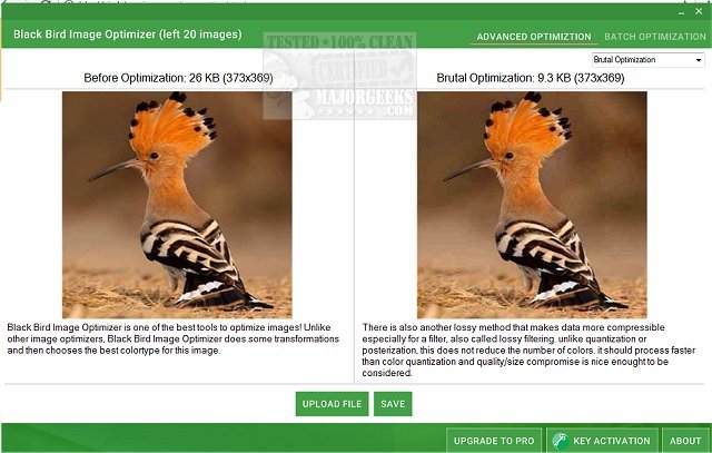 Download Black Bird Image Optimizer - MajorGeeks