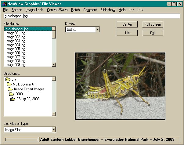 Download NewView Graphics' File Viewer - MajorGeeks