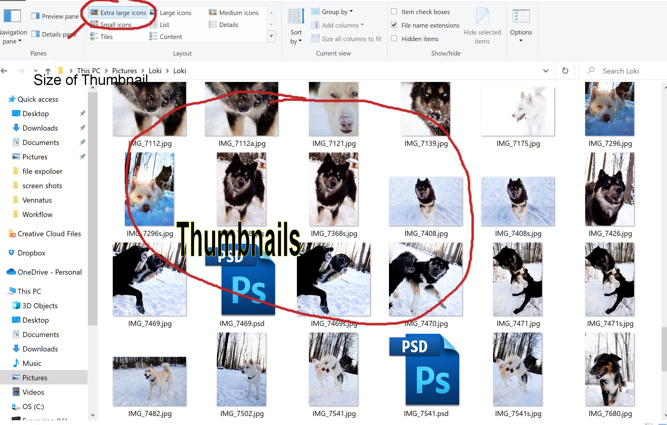 Download Delete Thumbnail Cache - MajorGeeks