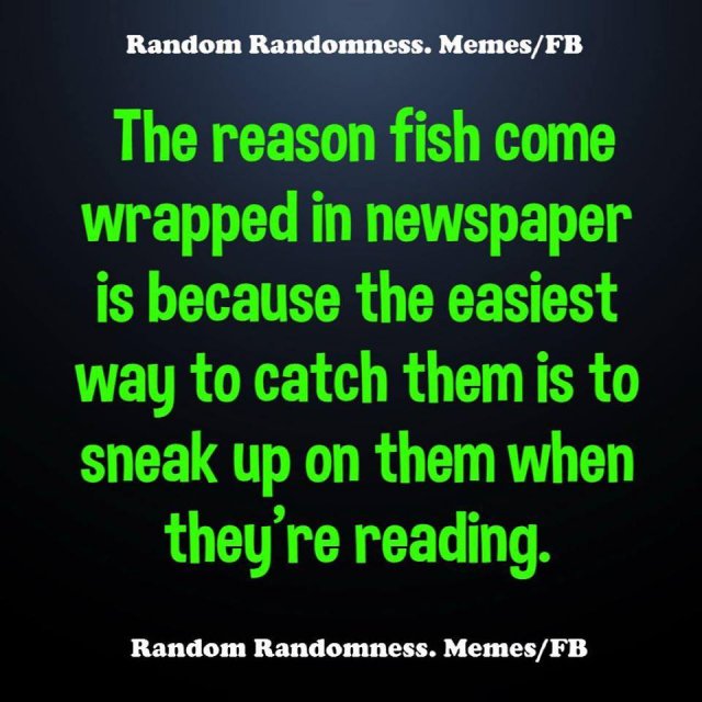 Random Photo: Seems Fishy - MajorGeeks