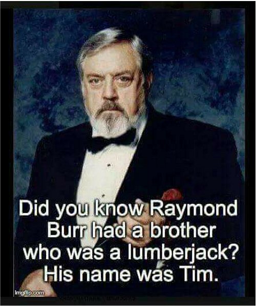 Random Photo: His Name Was Tim - MajorGeeks