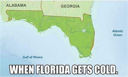 Random Photo: When It's Cold in Florida - MajorGeeks