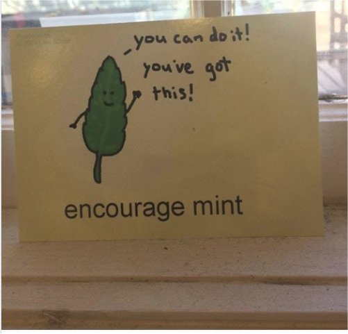 Random Photo: Encouragement - MajorGeeks