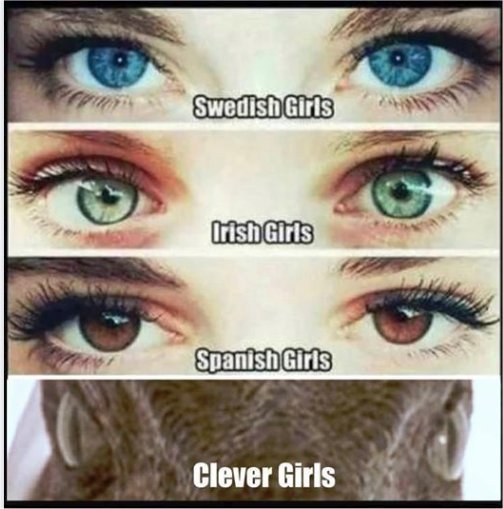 Random Photo: A Guide to Different Types of Girls - MajorGeeks