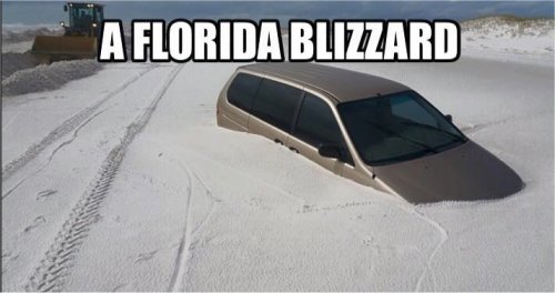 Random Photo: Florida Blizzard - MajorGeeks