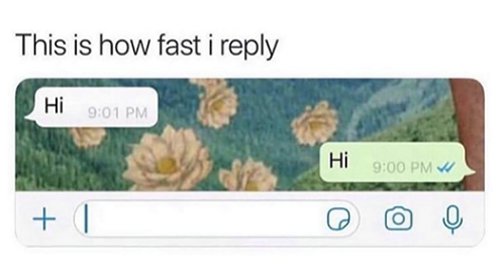 Random Photo: Fast Reply - MajorGeeks