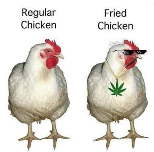 Random Photo: Fried Chicken Versus Regular Chicken - MajorGeeks