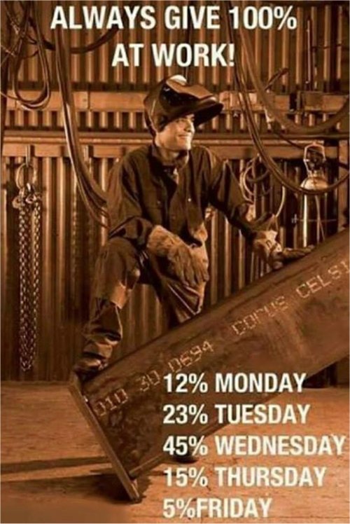 Random Photo: Always Give 100% at Work - MajorGeeks