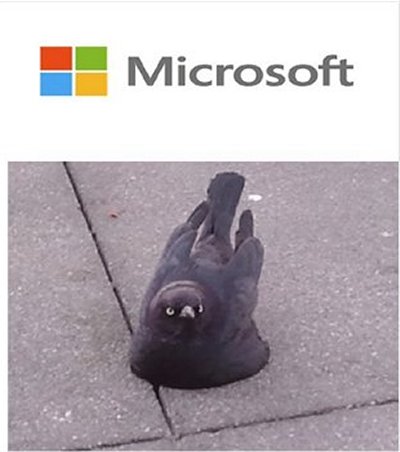 Random Photo: Microsoft - MajorGeeks