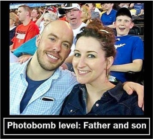 Random Photo: Photobomb Excellence - MajorGeeks
