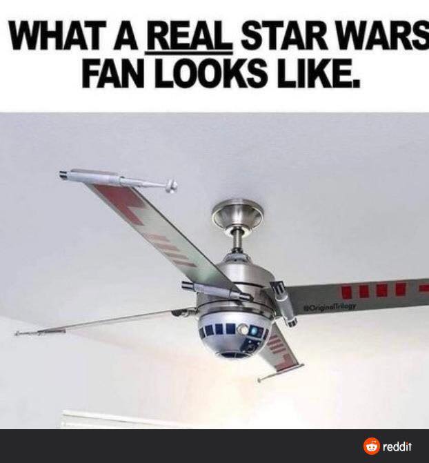 Random Photo: A Real Star Wars Fan - MajorGeeks