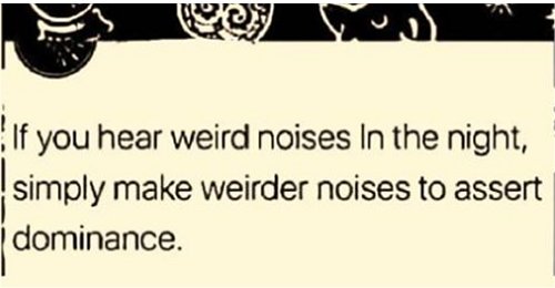 Random Photo: Weird Noises - MajorGeeks