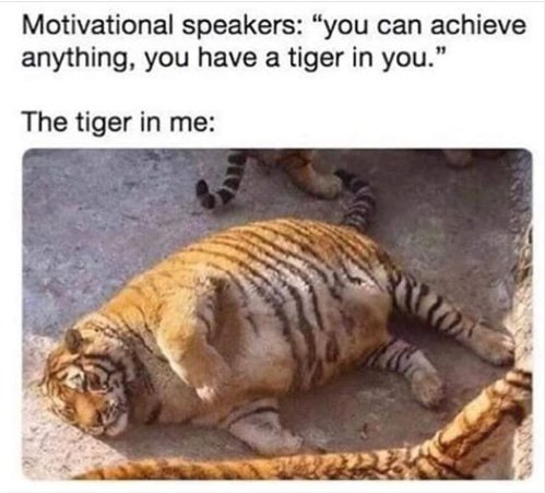 Random Photo: The Tiger in You - MajorGeeks