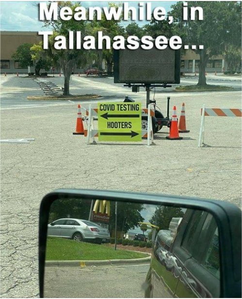 Random Photo: Meanwhile, In Florida... - MajorGeeks