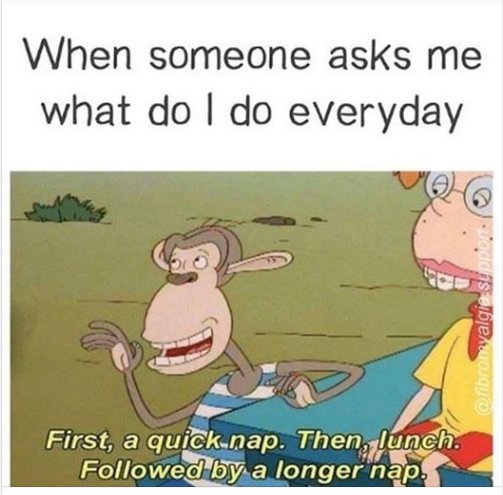 Random Photo: All Day, Every Day - MajorGeeks