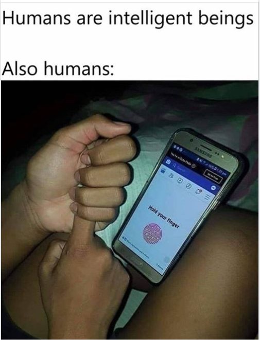 Random Photo: Humans Are Intelligent Beings - MajorGeeks