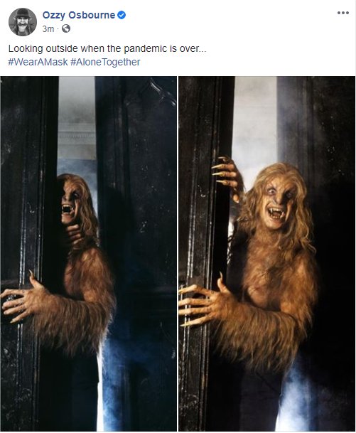 Random Photo: Ozzy Rules - MajorGeeks