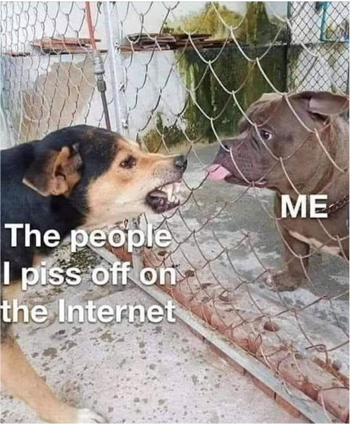 Random Photo: People On The Internet - MajorGeeks