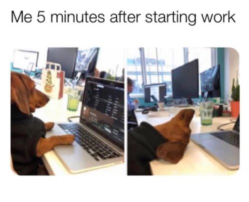 Random Photo: 5 Minutes at Work - MajorGeeks