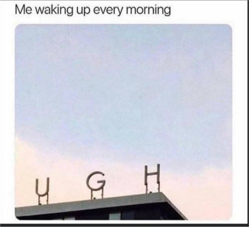 Random Photo: Waking Up - MajorGeeks