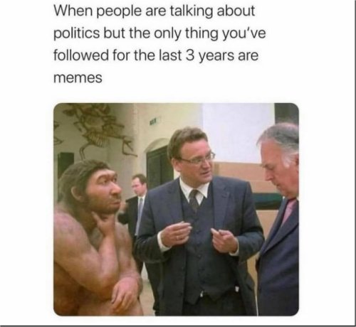 Random Photo: Poli Meme Me - MajorGeeks