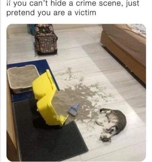 Random Photo: Crime Scene - MajorGeeks