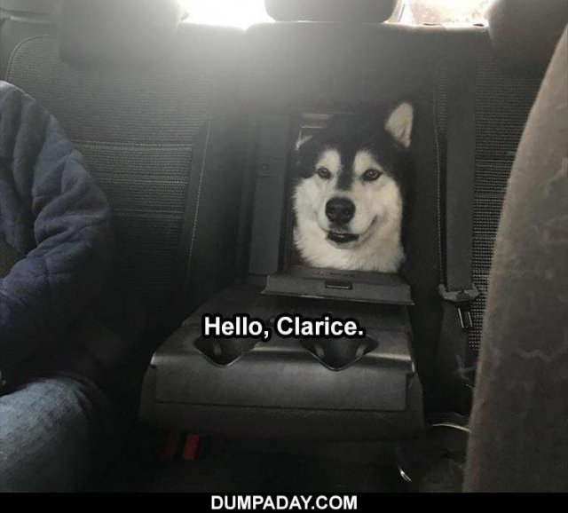 Random Photo: Hello Clarice - MajorGeeks