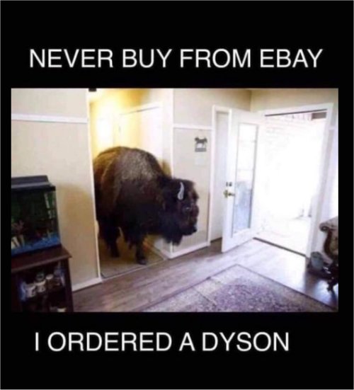 Random Photo: Buy Some from eBay - MajorGeeks