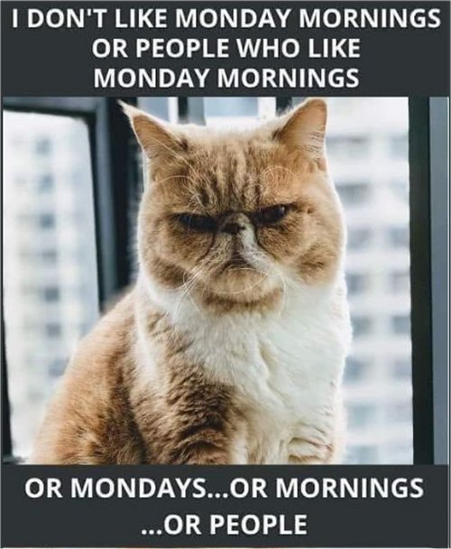 Random Photo: Hate Monday Morning - MajorGeeks