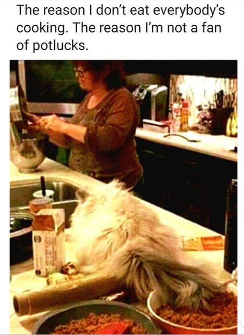 Random Photo: Potluck - MajorGeeks