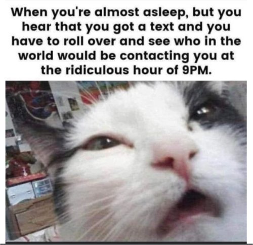 Random Photo: That Late Night Text - MajorGeeks