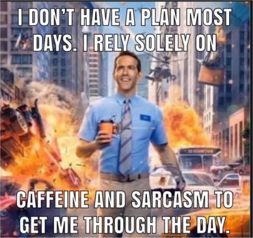 Random Photo: No Plan - MajorGeeks