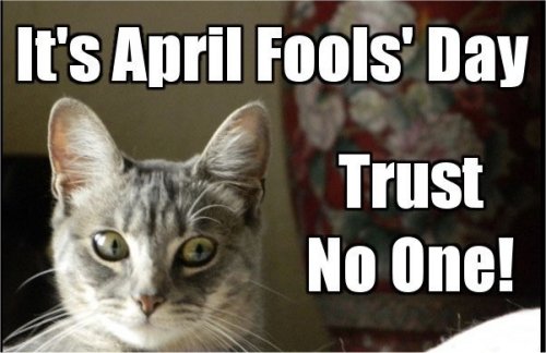 Random Photos: April Fools' Caturday - MajorGeeks