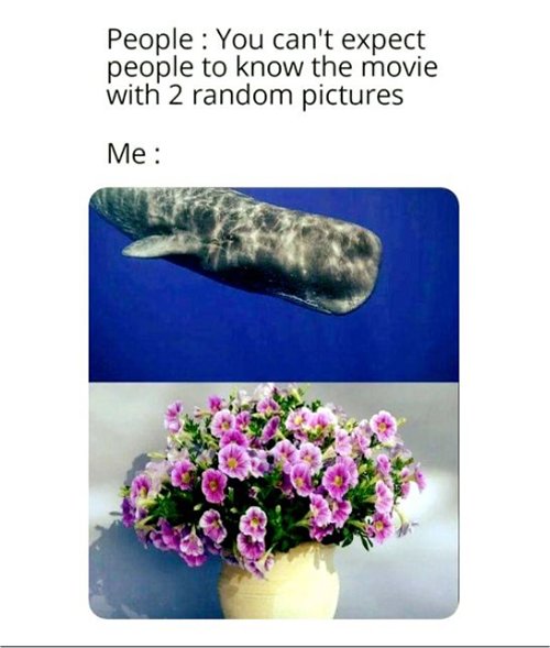 Random Photo: Infinite Improbability Drive - MajorGeeks