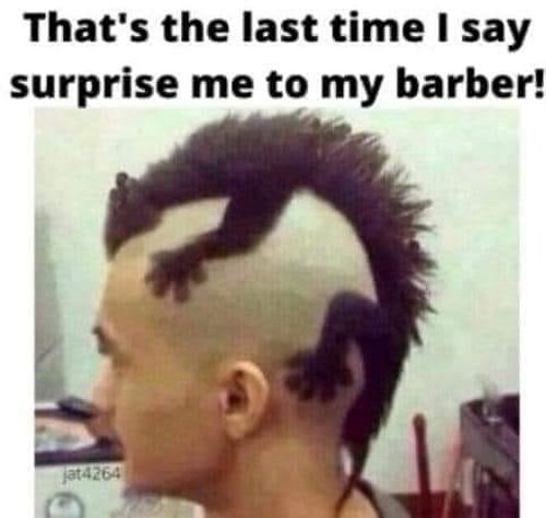 Random Photo: Barber Surprise - MajorGeeks