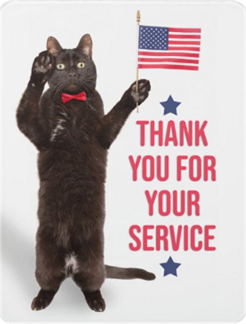 Random Photo: A Caturday Thank You - MajorGeeks