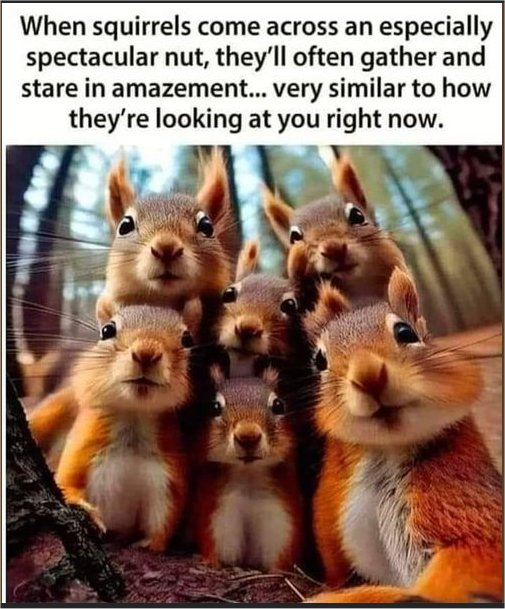 Random Photo: Spectacular Nut - MajorGeeks