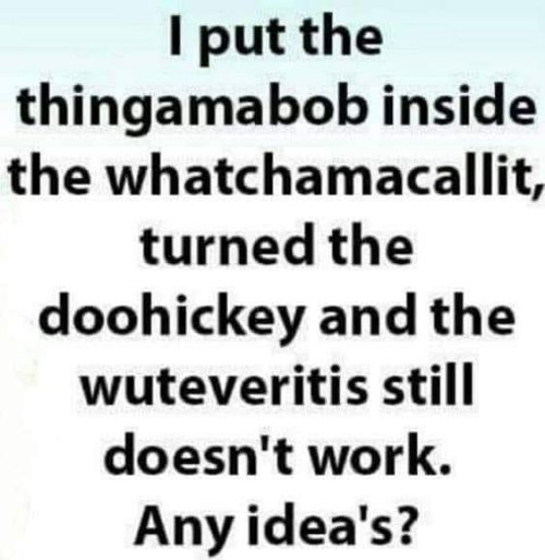 Random Photo: Thingamabob - MajorGeeks