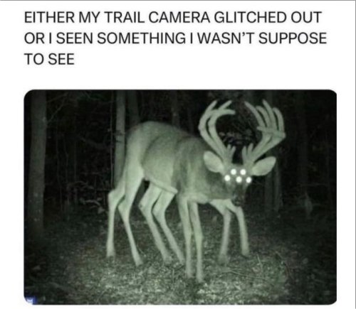 Random Photo: Camera Glitch? - MajorGeeks