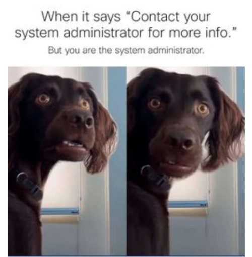 Random Photo: Rut Roh - MajorGeeks