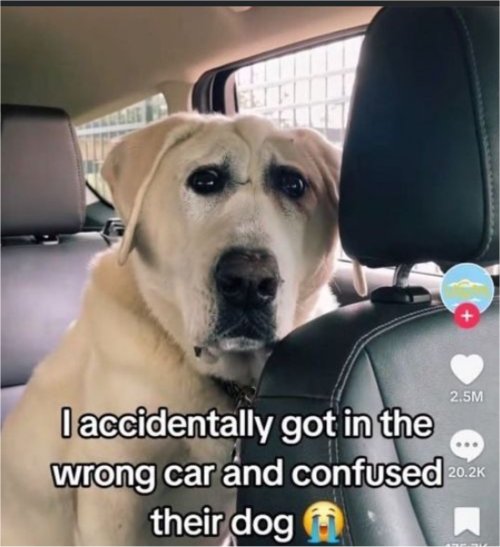 Random Photo: The Wrong Car - MajorGeeks