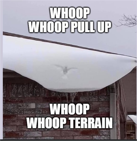 Random Photo: Whoop! Whoop! - MajorGeeks