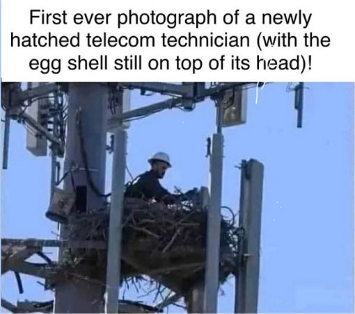 Random Photo: Nature is Amazingly Beautiful - MajorGeeks