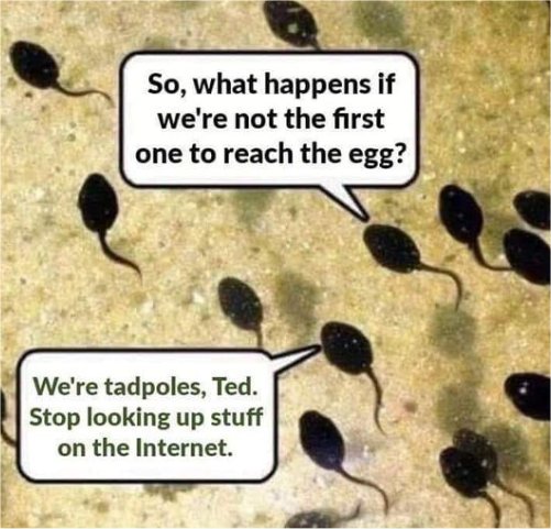 Random Photo: Internet Search - MajorGeeks