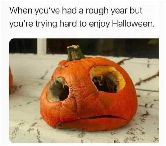 Random Photo: Enjoying Halloween - MajorGeeks