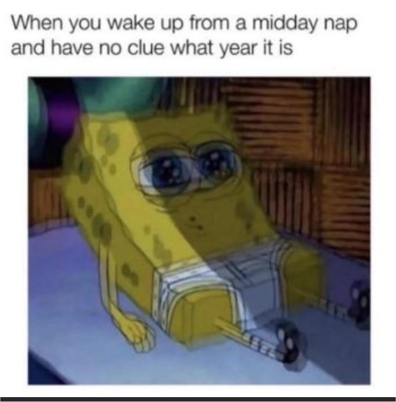 Random Photo: Midday Nap - MajorGeeks